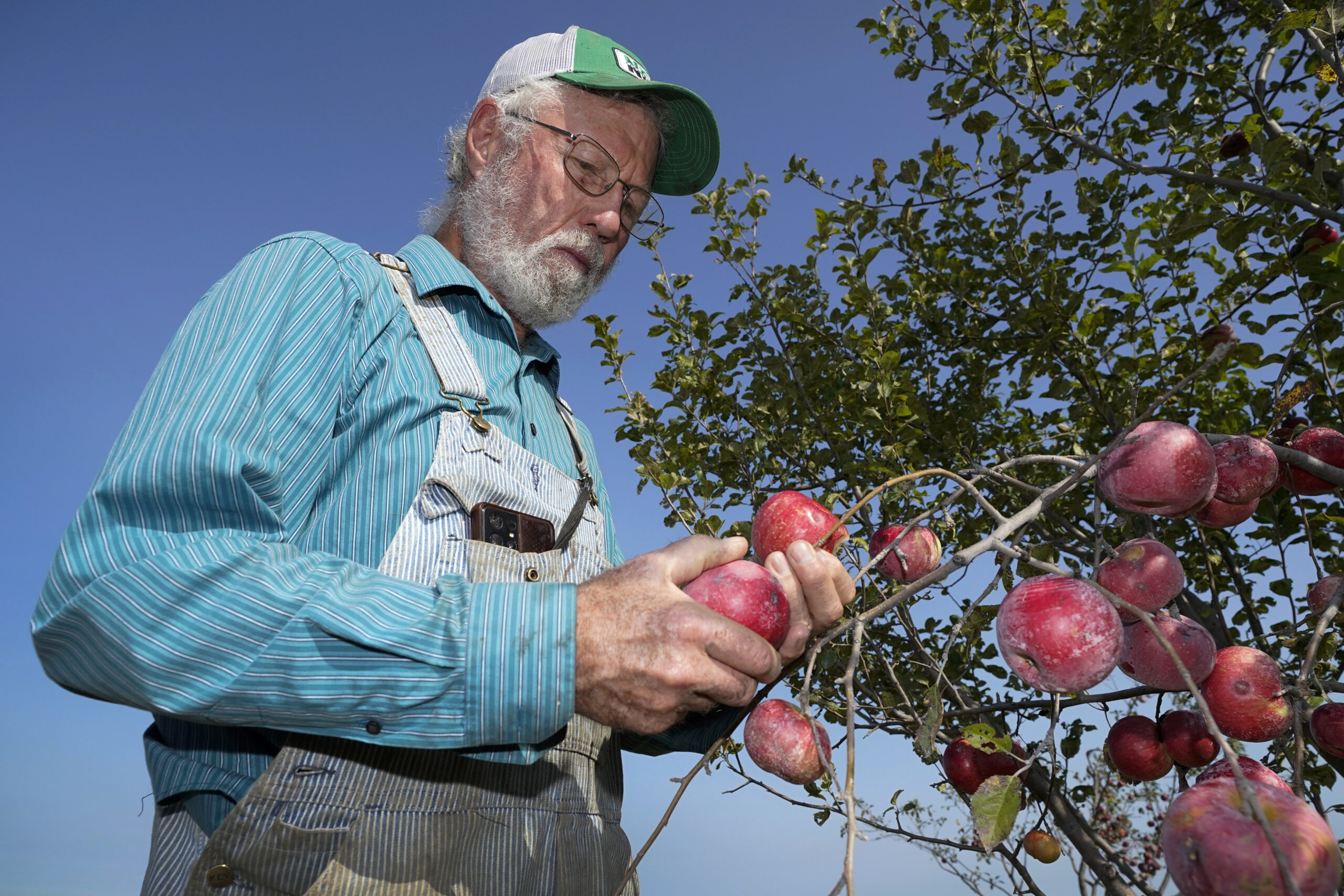 More Consumers Buying Organic, But U.S. Farmers Still Wary | News ...